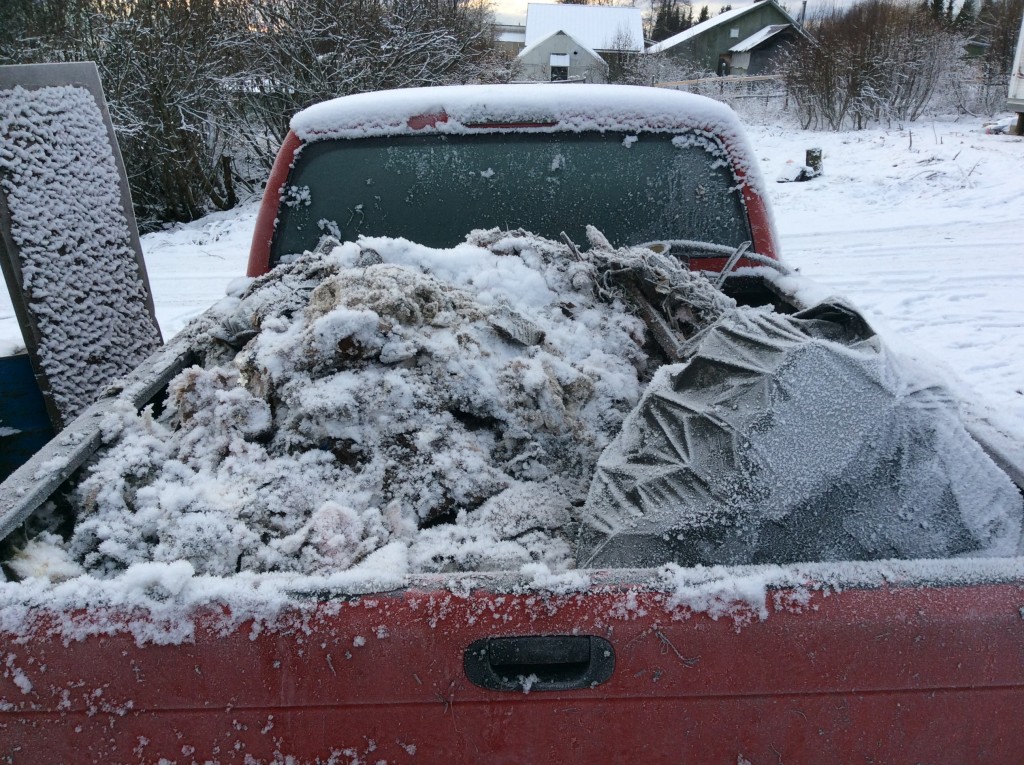 # 16 Frozen - RV Sites in Homer Alaska