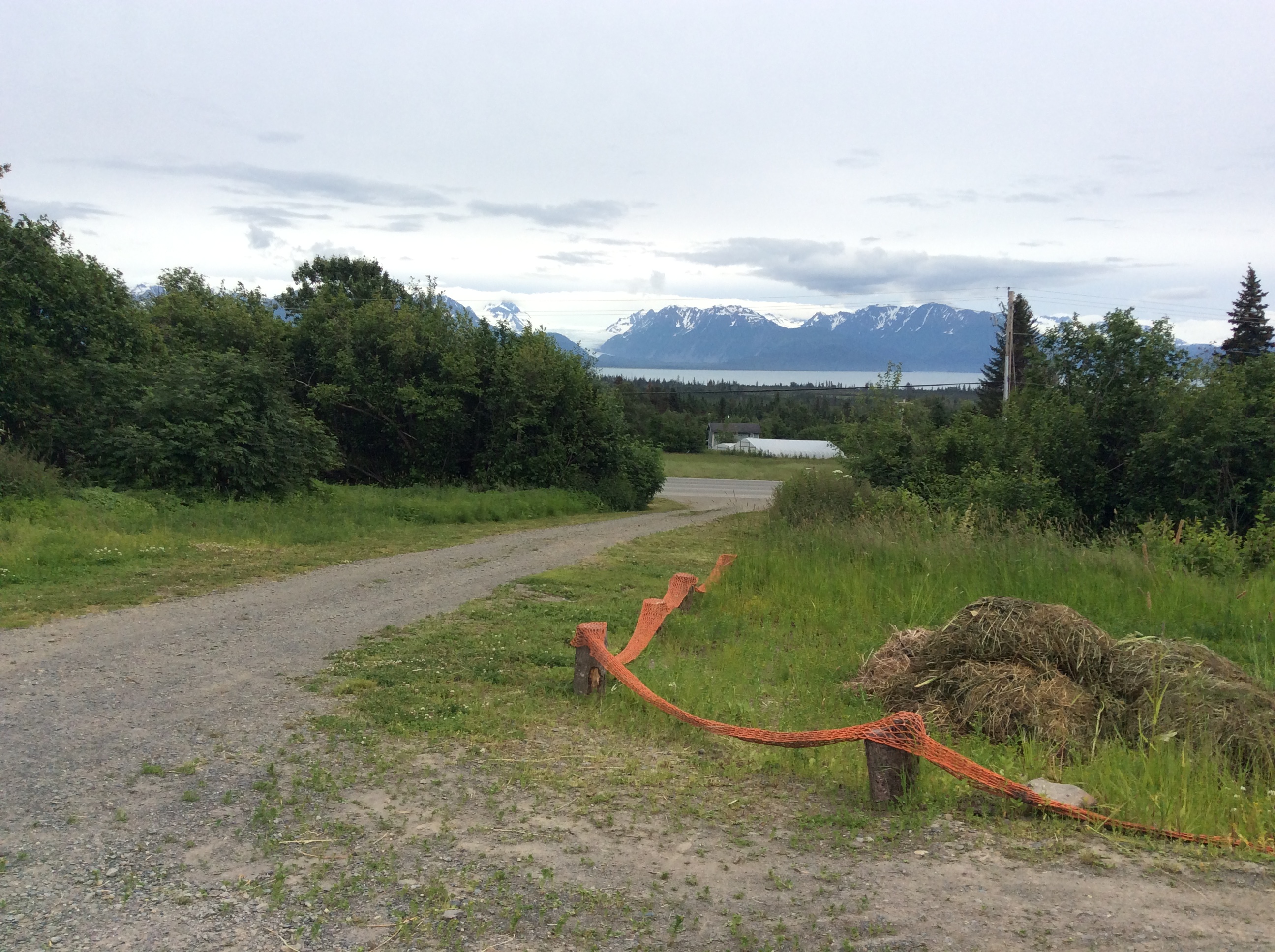 Easy access driveway - RV Sites in Homer Alaska
