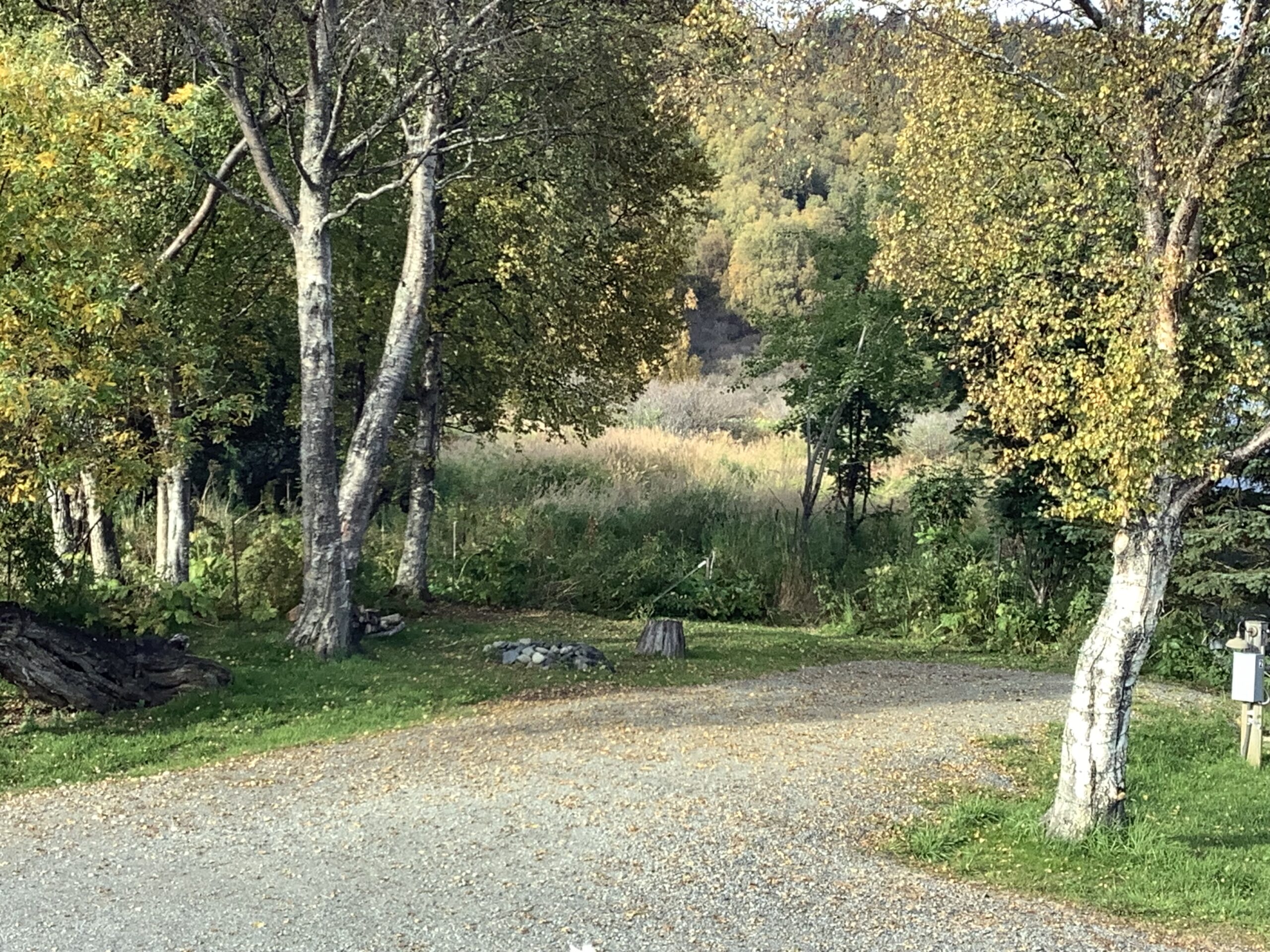 RV Sites in Homer Alaska - Page 2 of 36 - Beautiful Large Private RV ...